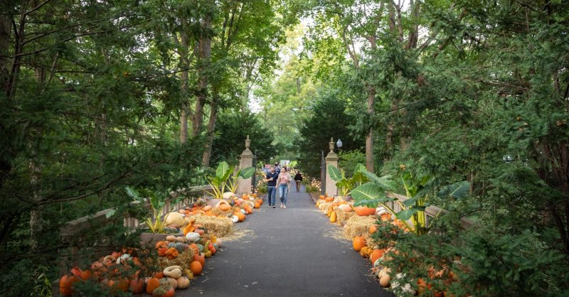Fall Time Indianapolis