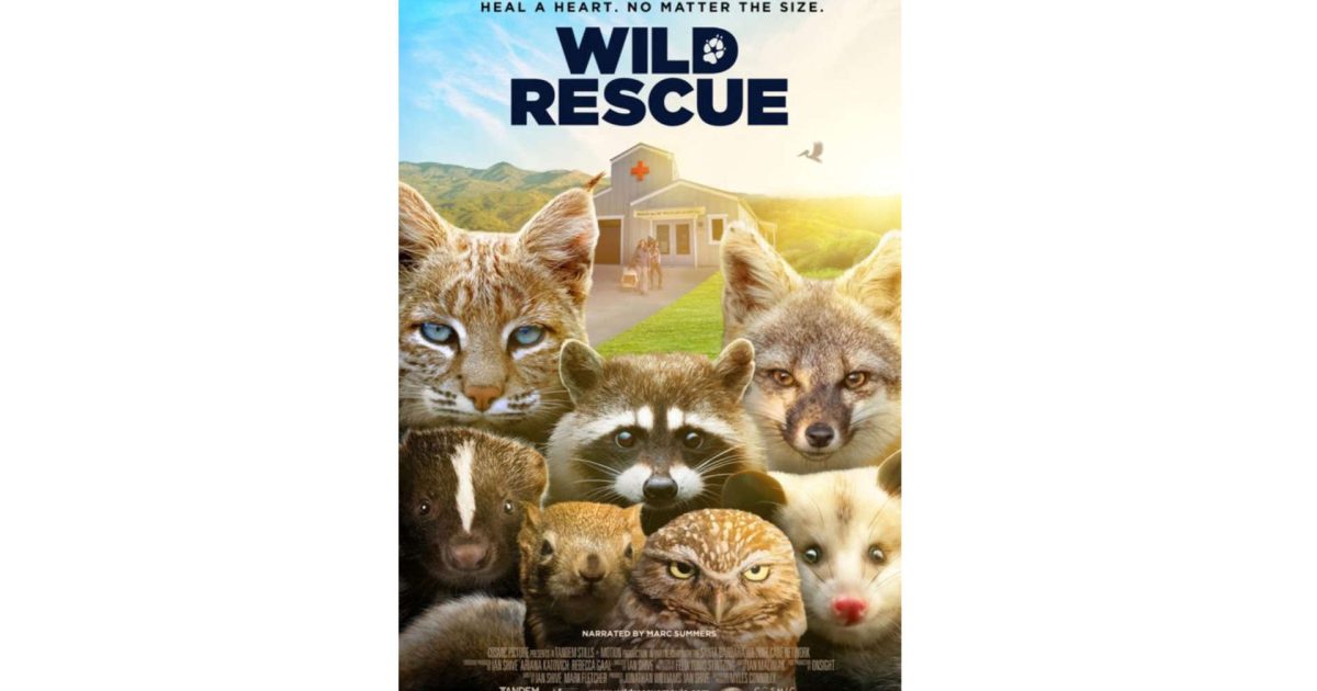 Wild Rescue 3D | Visit Indy