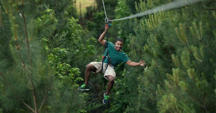 Go Ape Treetop Adventure | Visit Indy