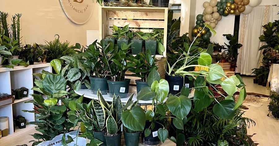 The Botanical Bar | Visit Indy