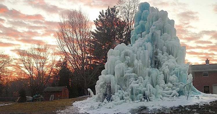 Veal's Ice Tree | Visit Indy